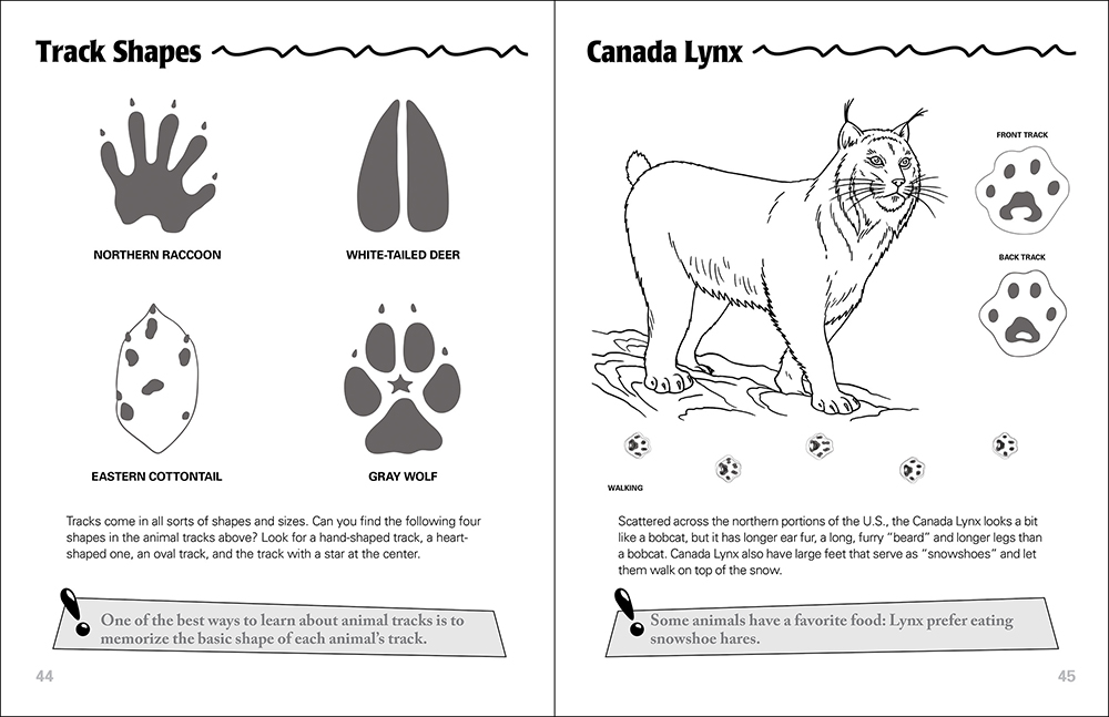 Animal Tracks Activity Book - AdventureKEEN Shop