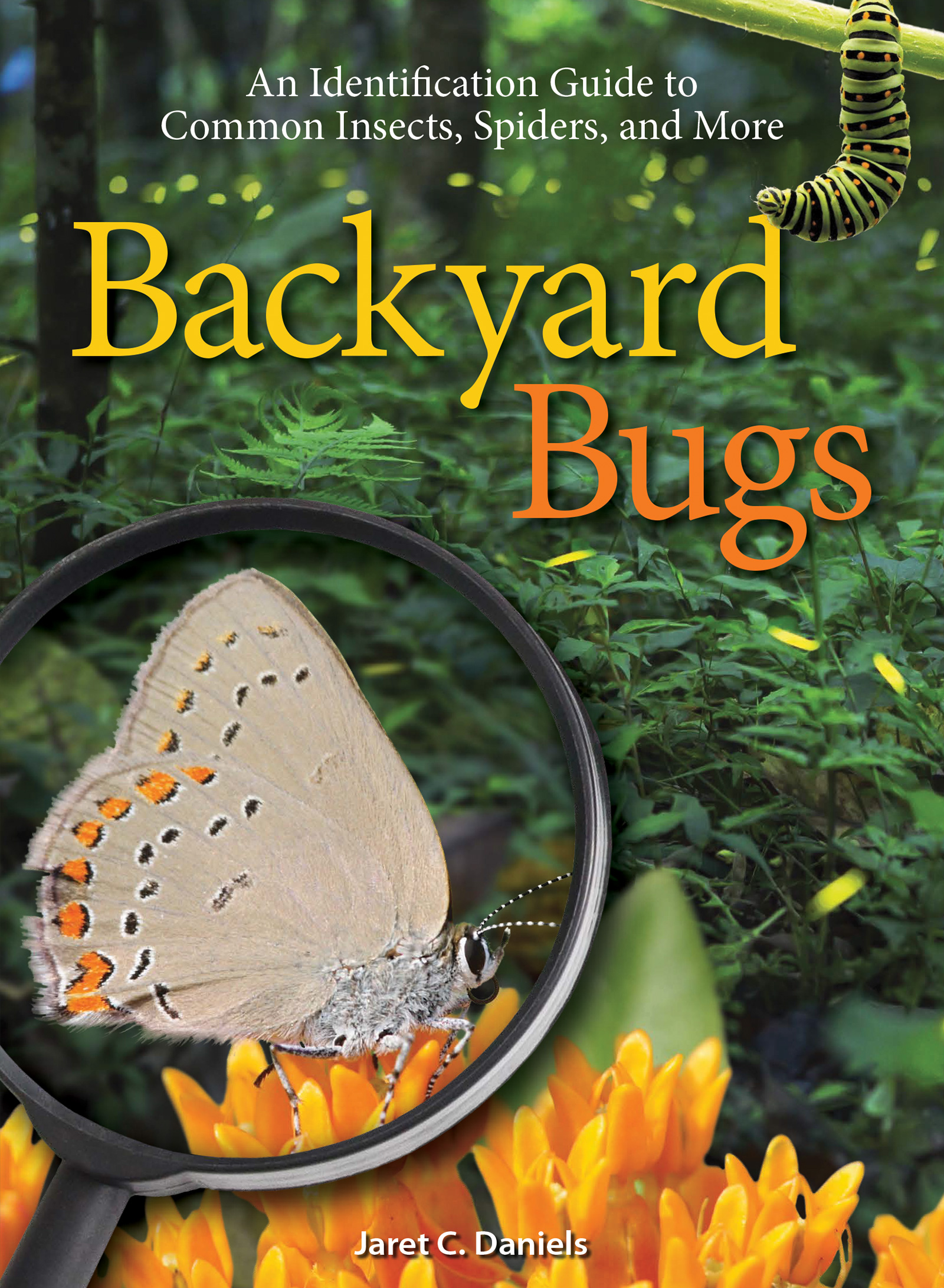 Backyard Bugs - AdventureKEEN Shop