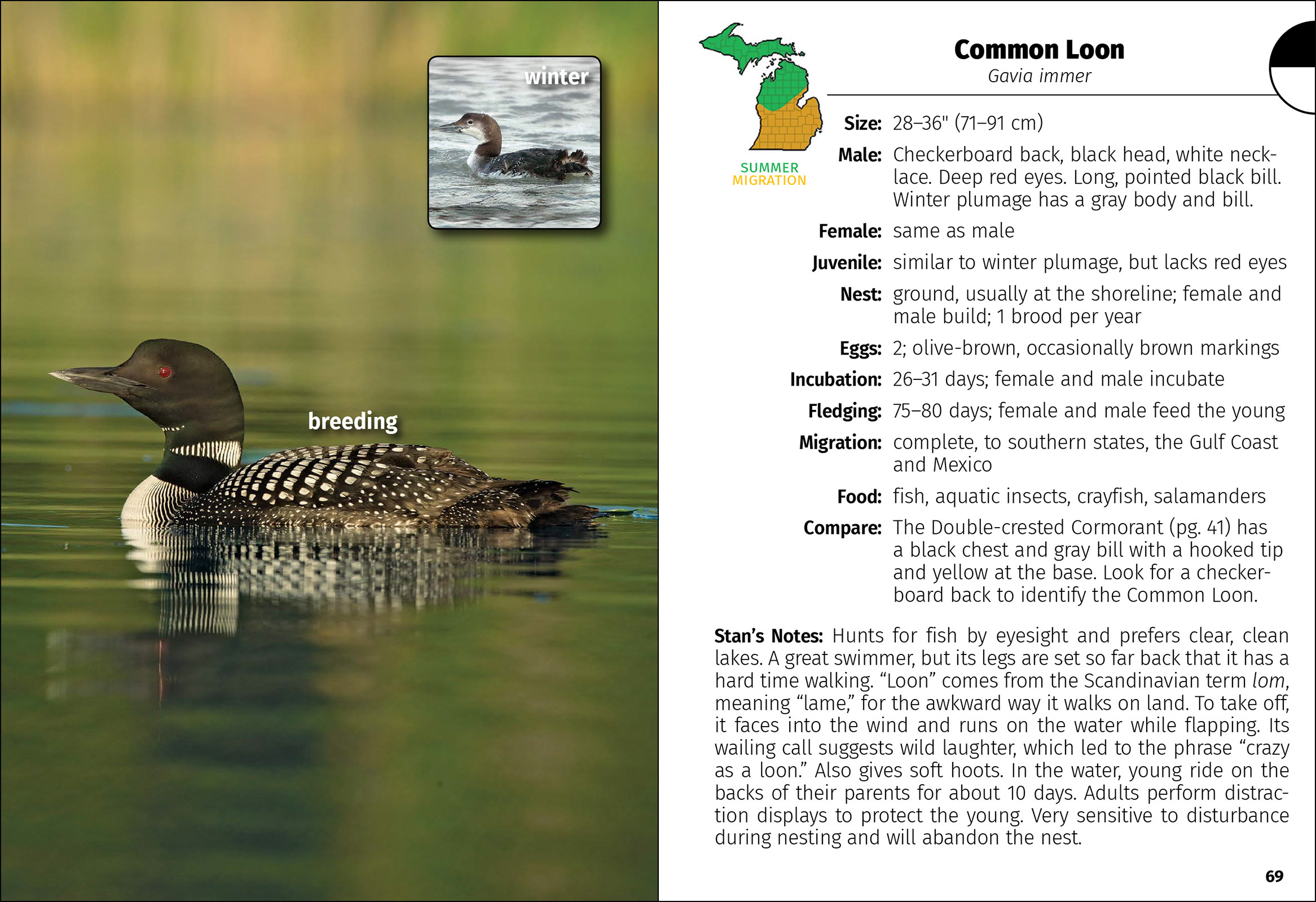 Birds of Michigan Field Guide - AdventureKEEN Shop