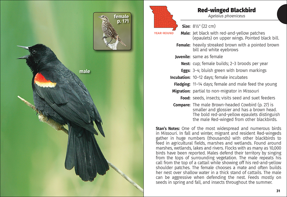 Birds of Missouri Field Guide - AdventureKEEN Shop