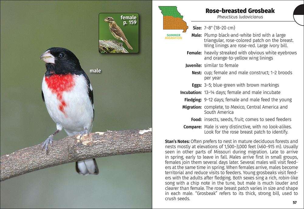 Birds of Missouri Field Guide - AdventureKEEN Shop