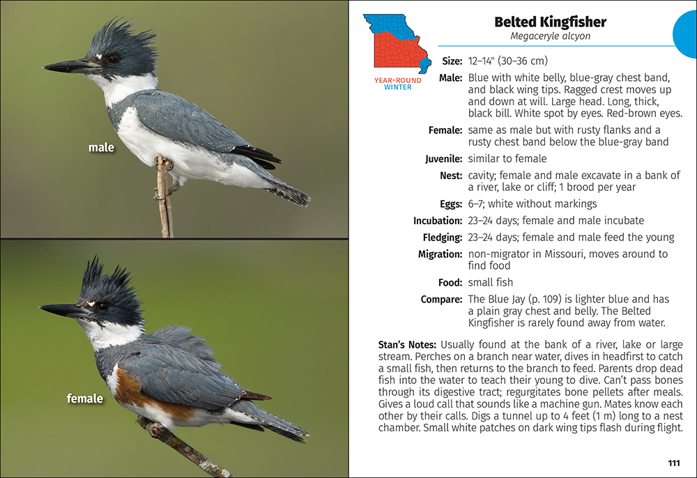 Birds of Missouri Field Guide - AdventureKEEN Shop