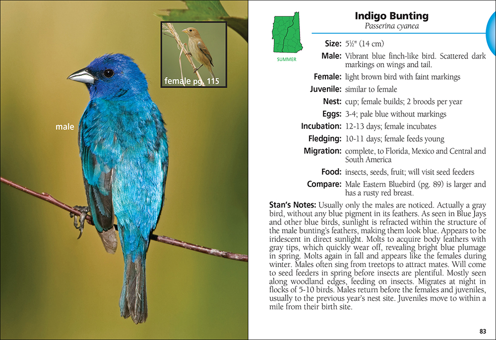 Birds of New Hampshire & Vermont Field Guide - AdventureKEEN Shop