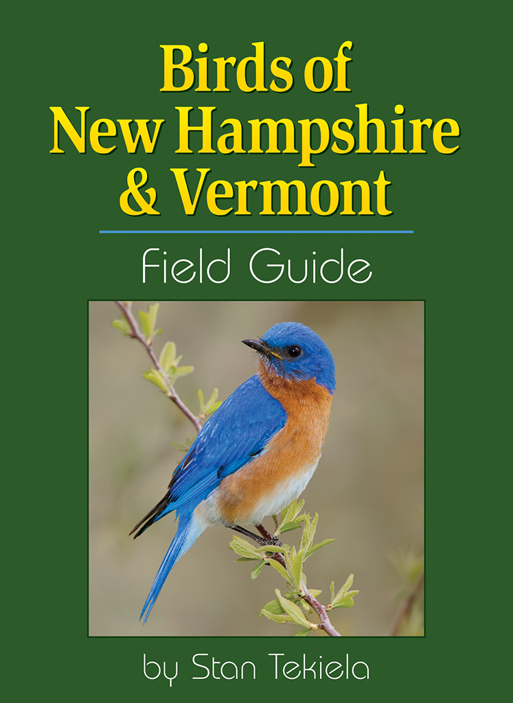Birds of New Hampshire & Vermont Field Guide - AdventureKEEN Shop