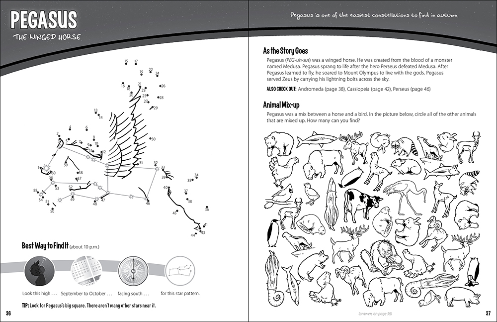 Constellations Activity Book - AdventureKEEN Shop