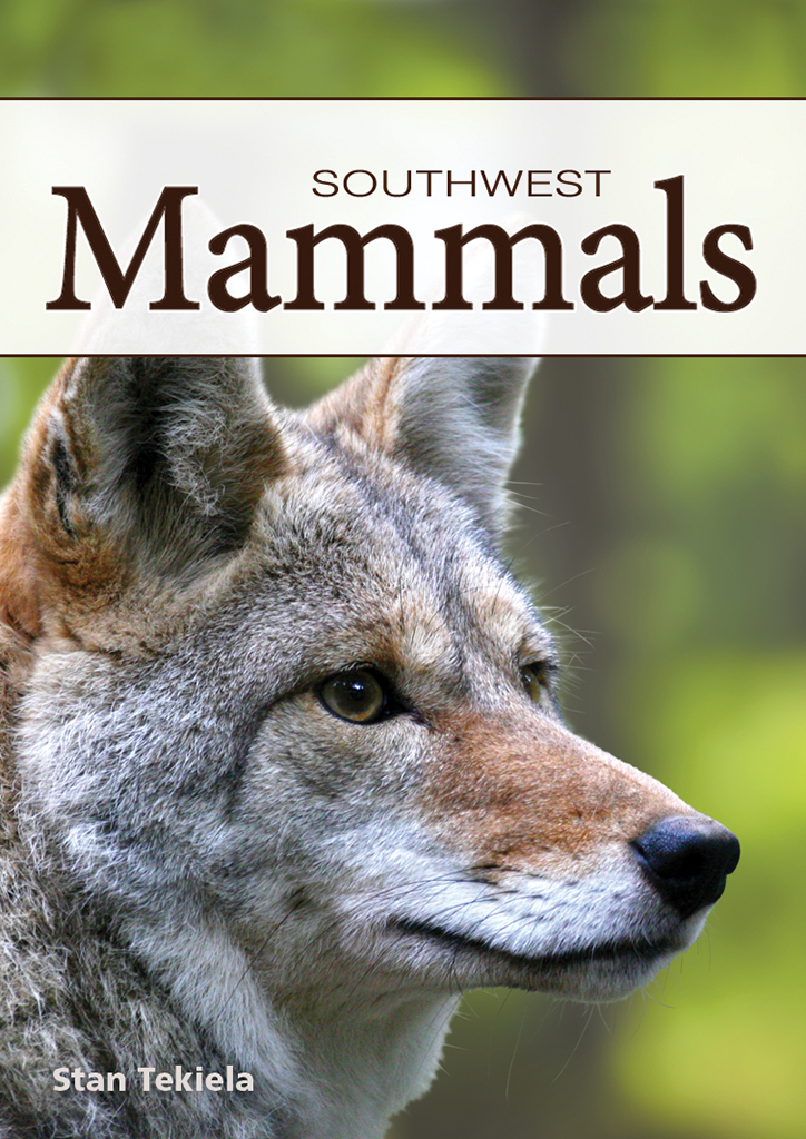 Mammals of the Southwest Playing Cards - AdventureKEEN Shop