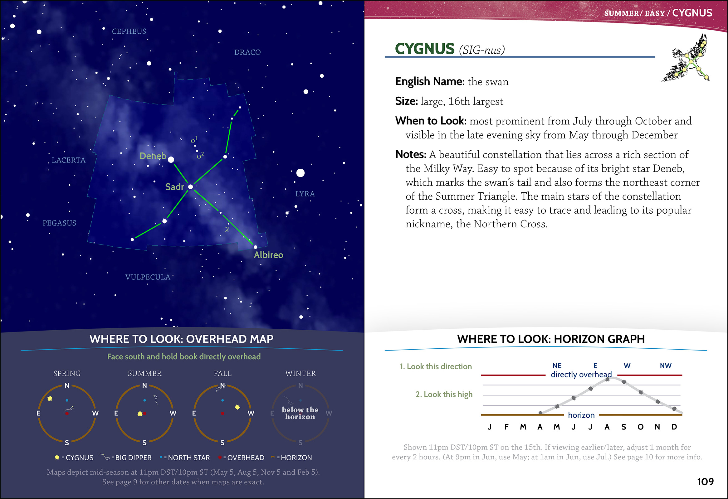 Night Sky: A Field Guide to the Constellations - AdventureKEEN Shop
