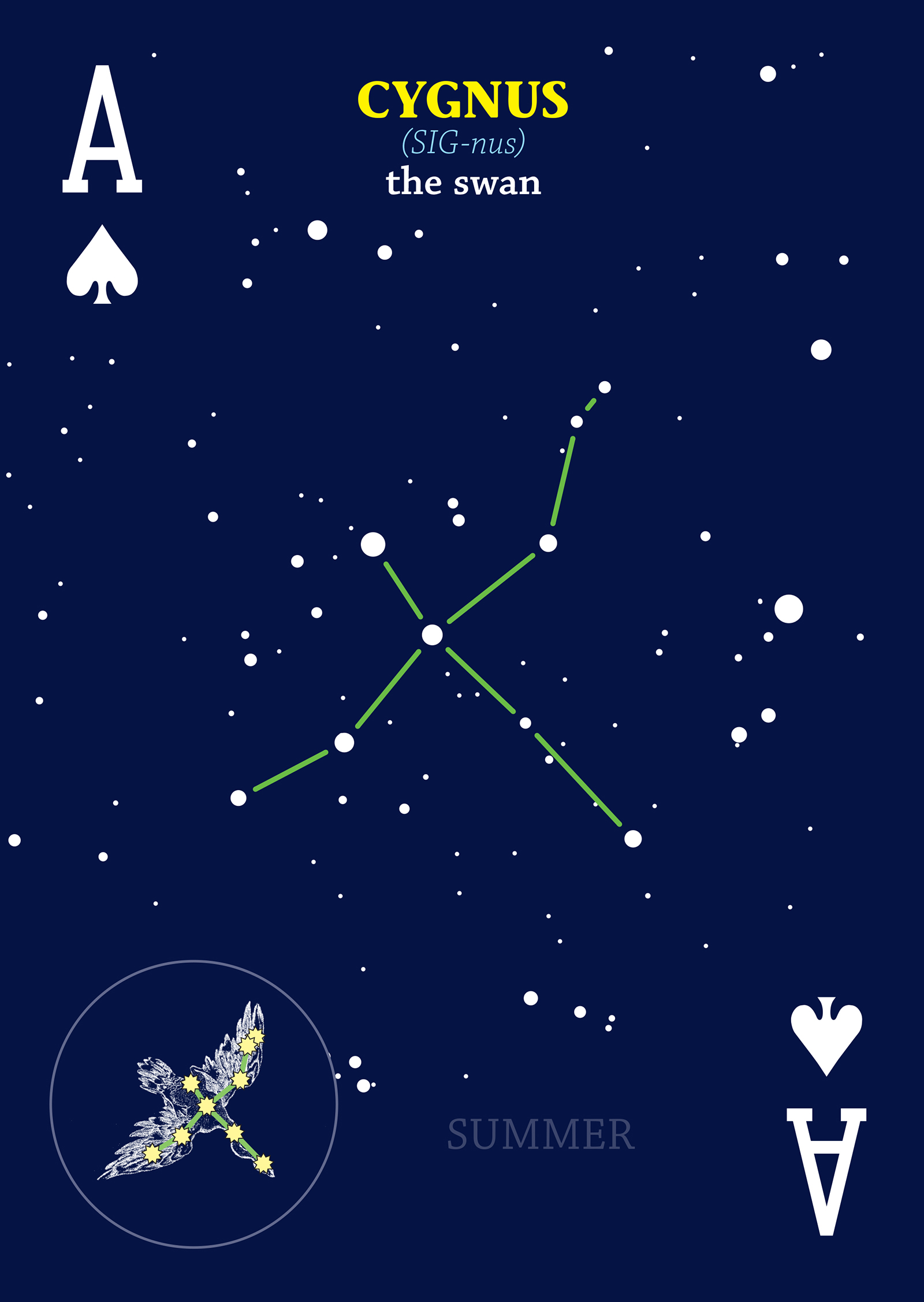Night Sky Playing Cards - AdventureKEEN Shop