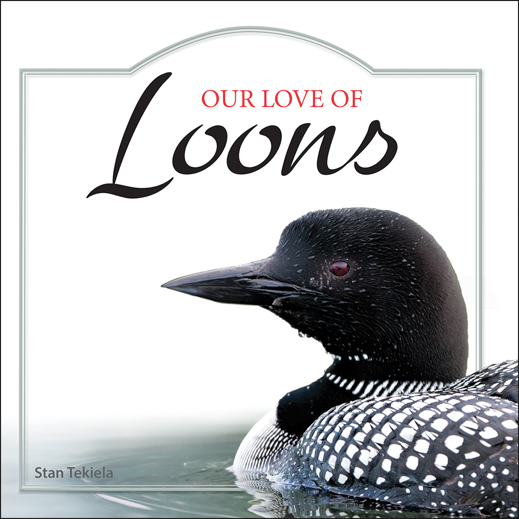 Our Love of Loons - AdventureKEEN Shop