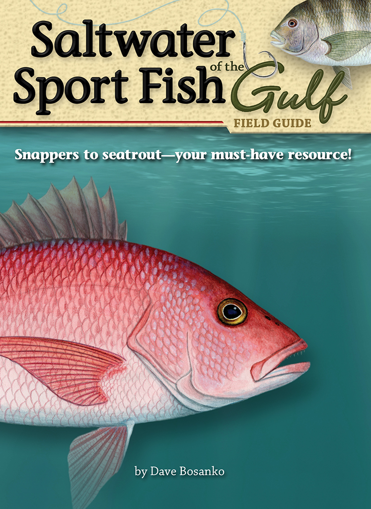 Saltwater Sport Fish of the Gulf Field Guide - AdventureKEEN Shop