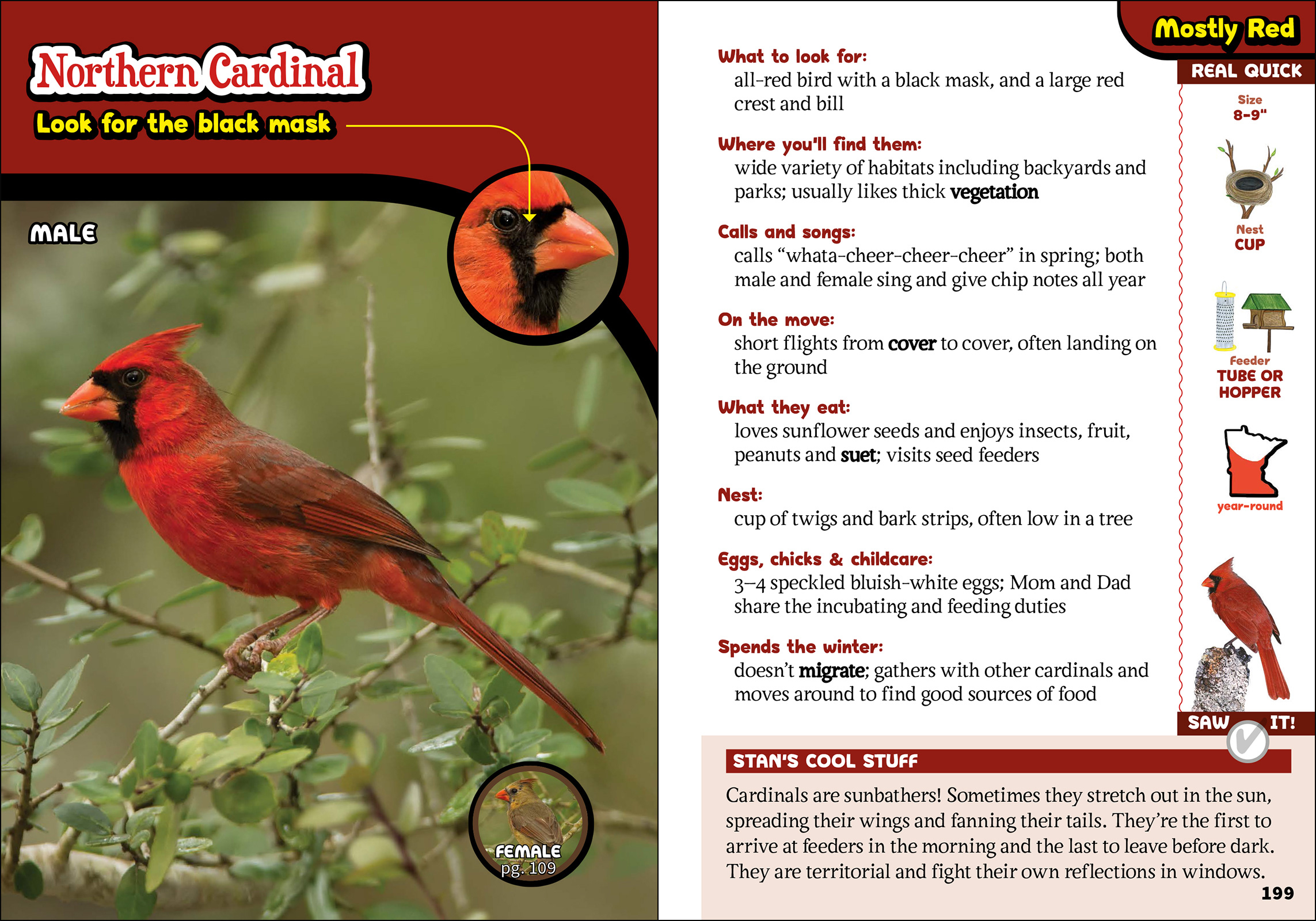 The Kids’ Guide to Birds of Michigan – AdventureKEEN Shop