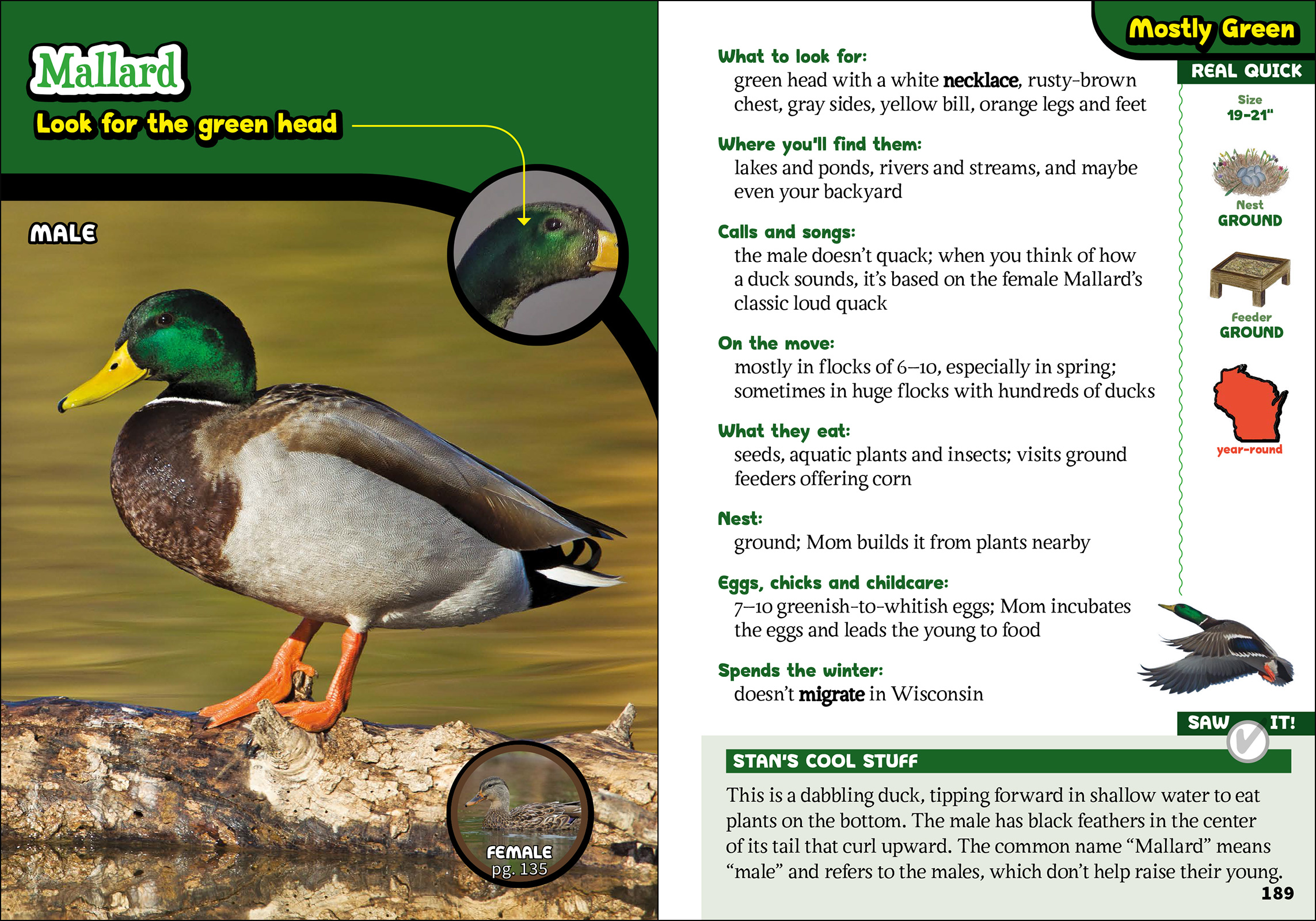 The Kids' Guide to Birds of Wisconsin - AdventureKEEN Shop