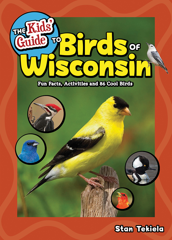 The Kids' Guide to Birds of Wisconsin - AdventureKEEN Shop