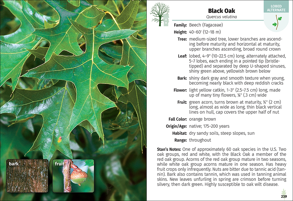 Trees of the Carolinas Field Guide - AdventureKEEN Shop