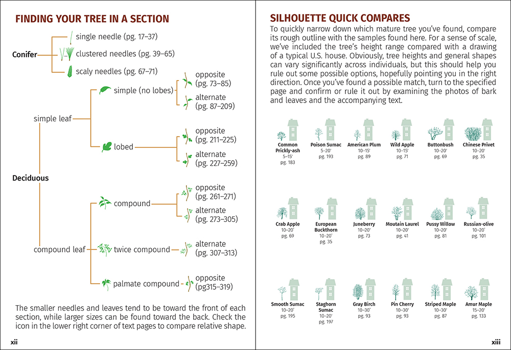 Trees of the Carolinas Field Guide - AdventureKEEN Shop